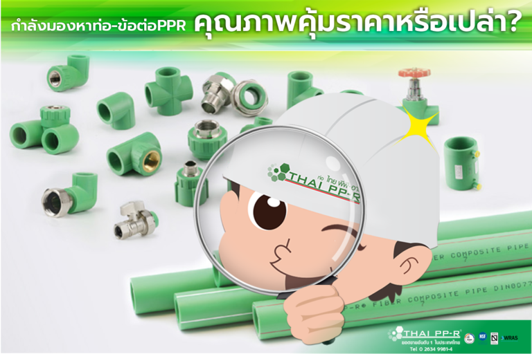 ราคาท่อPPR สมเหตุสมผลกับคุณภาพหรือไม่? - Thai PP-R