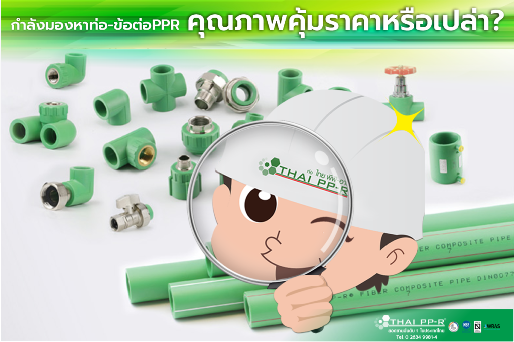 ราคาท่อPPR สมเหตุสมผลกับคุณภาพหรือไม่? - Thai PP-R